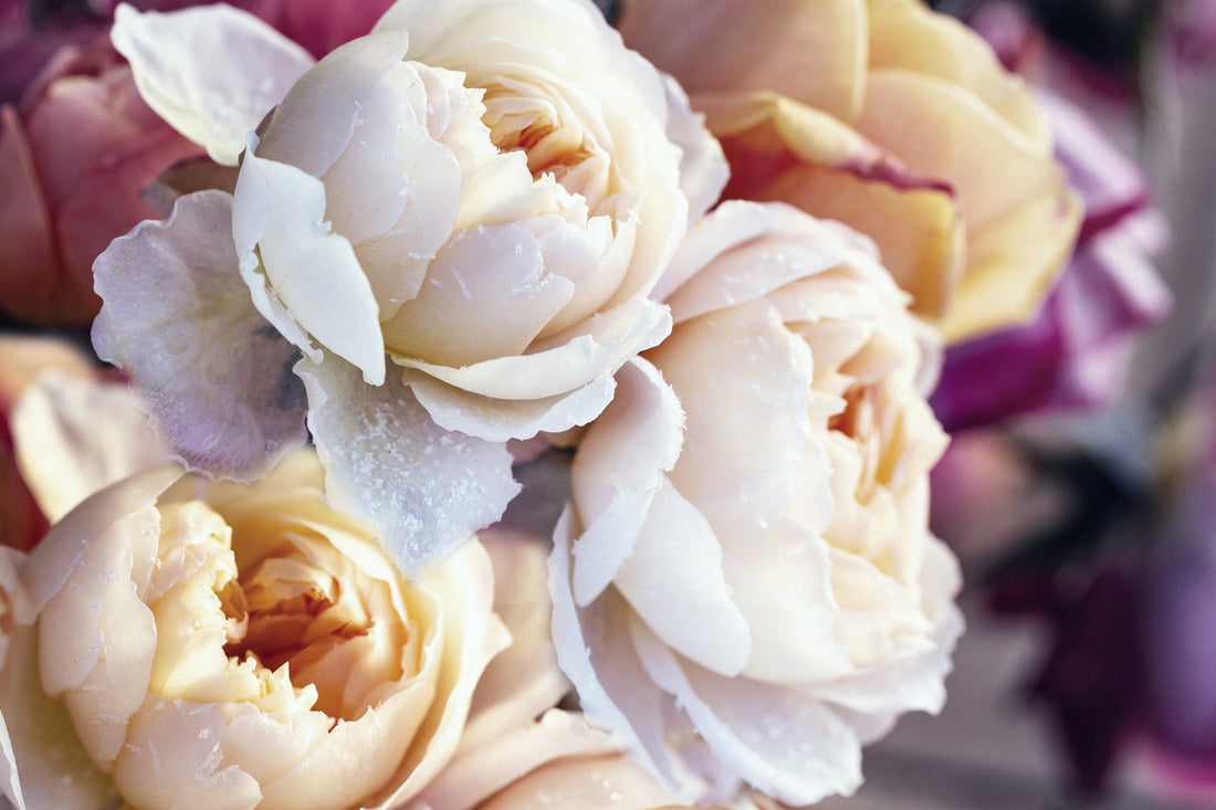 Winter flowers in Grove, OK | The Rusty Willow – Local Flower Delivery